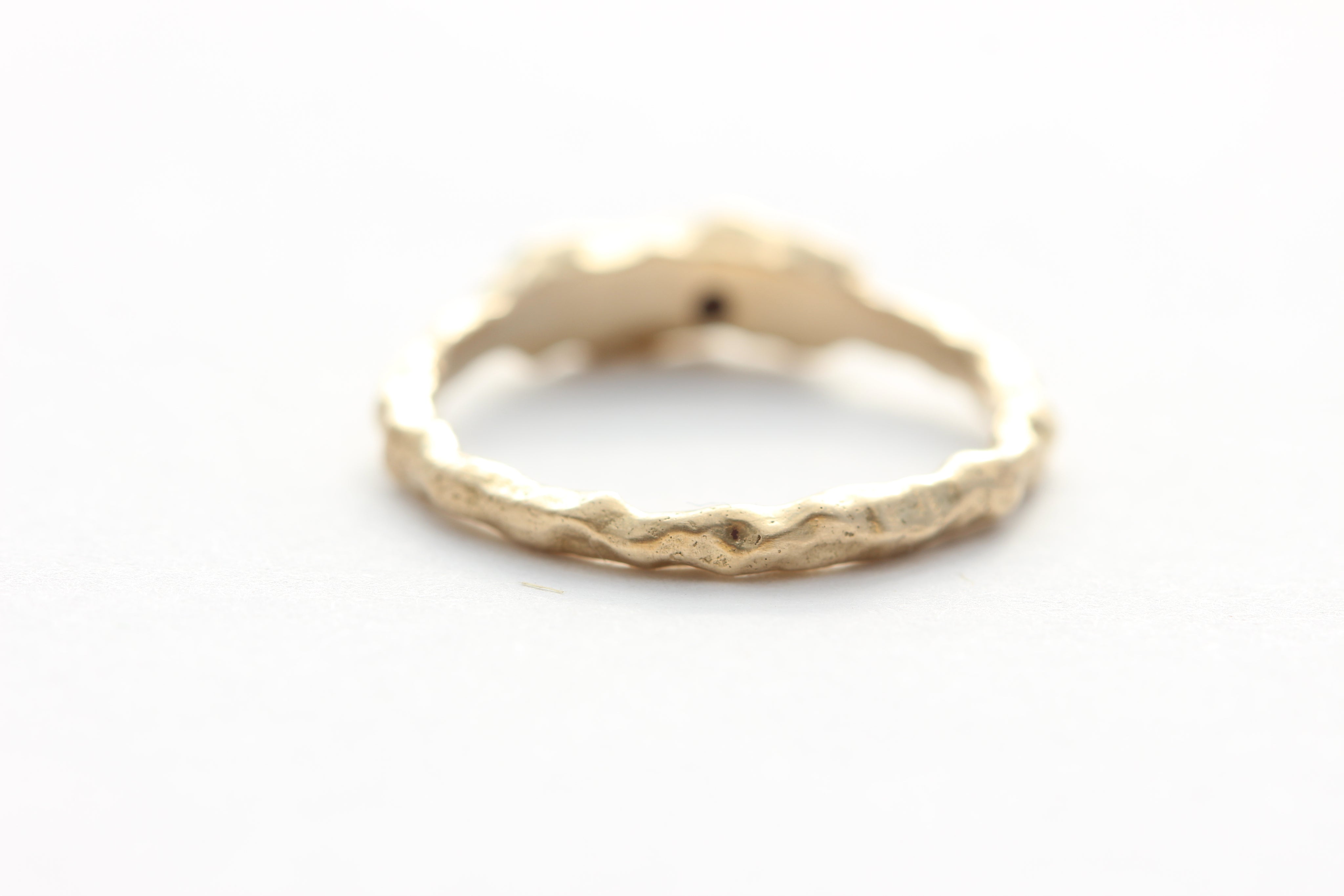 The Shiny Gold Adventure Ring– Elle Naz Jewelry